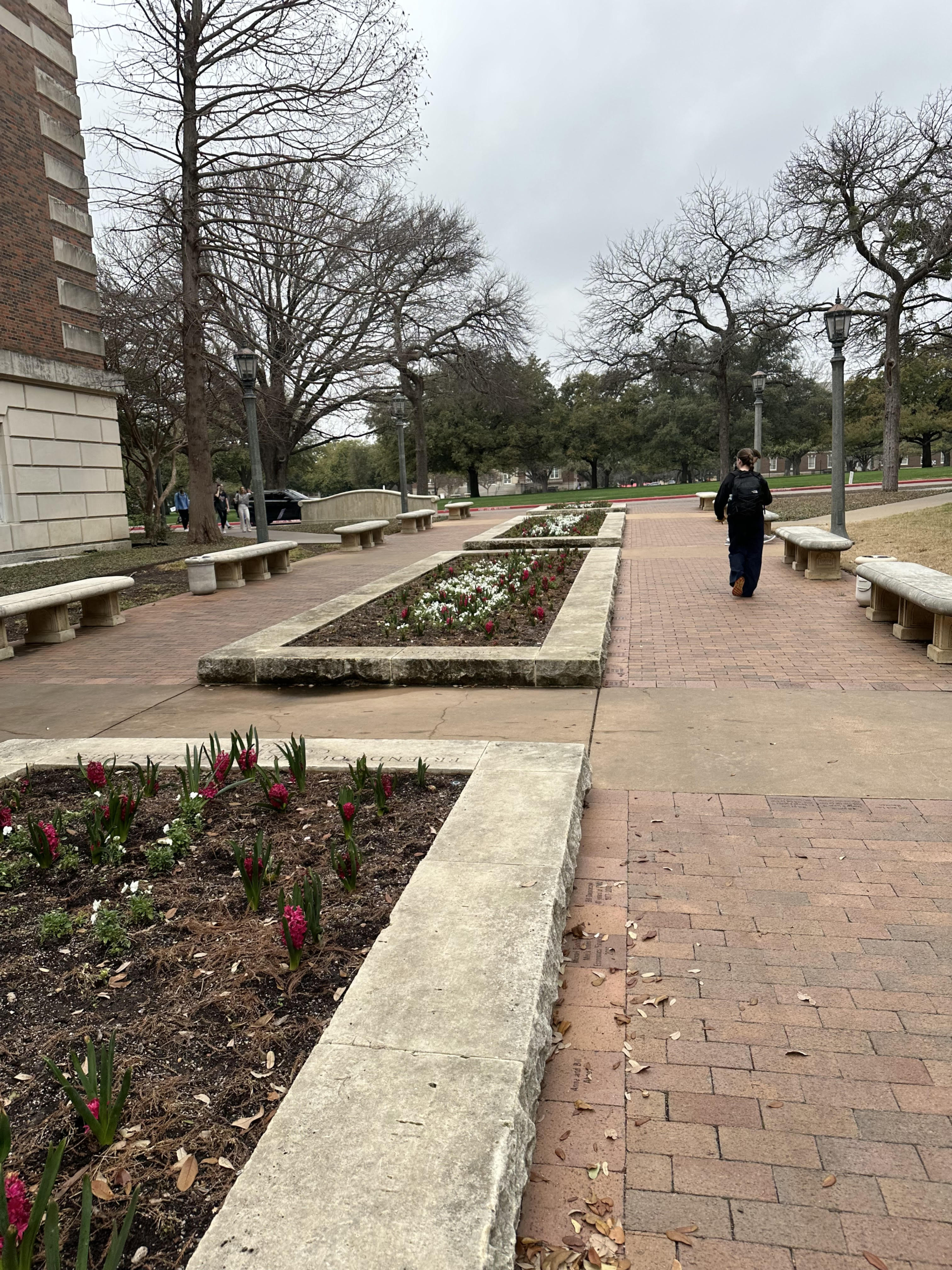 Inside Southern Methodist University: A College Coach's Guide to SMU ...